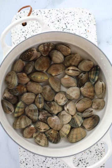 Clam Juice Recipe (BEST Easy Method!)- Whole Lotta Yum