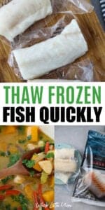 How to Thaw Fish from Frozen (The BEST Defrost Methods!)