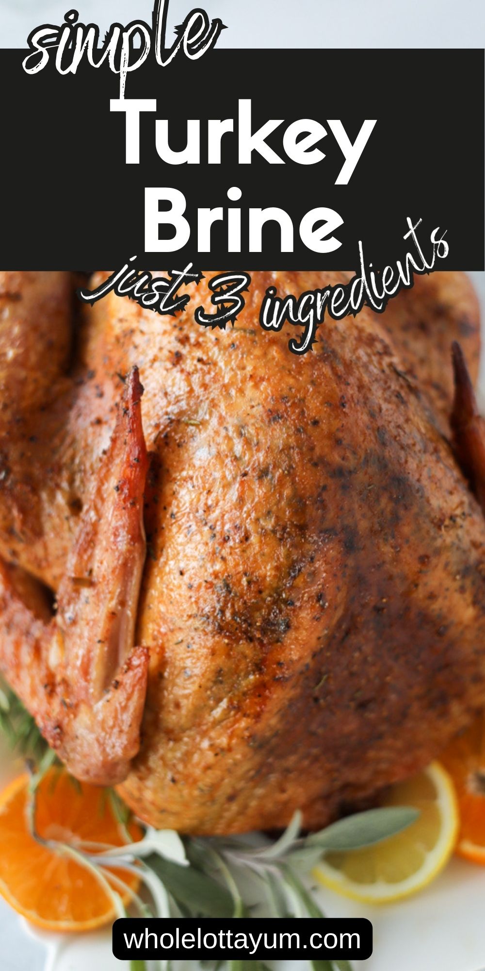 Simple Turkey Brine - Whole Lotta Yum