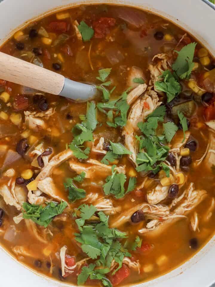 Red Pepper and Sweet Potato Soup - Whole Lotta Yum