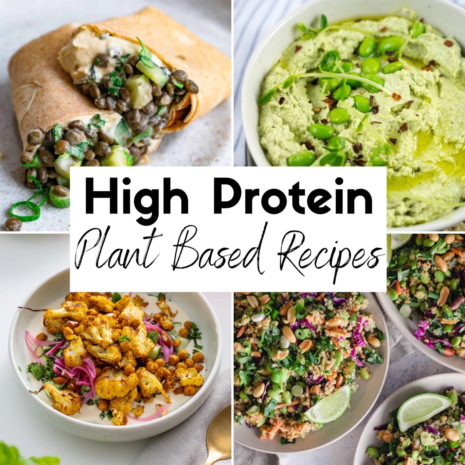 50 High Protein Plant Based Recipes to Keep You Full & Focused