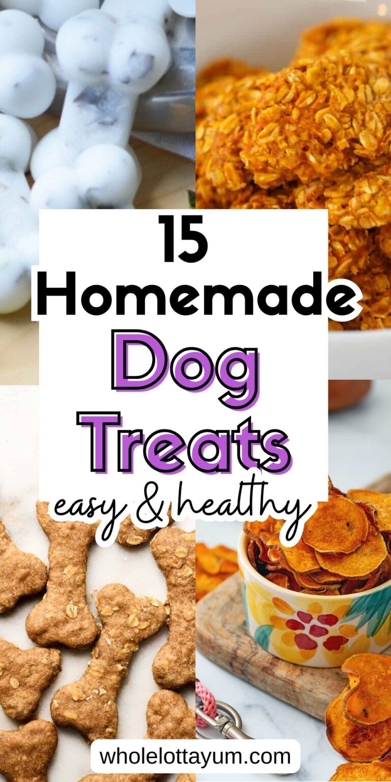 15 Homemade Dog Treats Your Dog Will Love (Easy & Healthy)